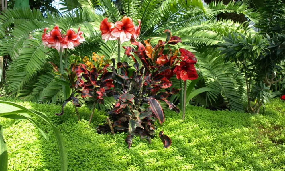 Skleník - Zámek Lednice