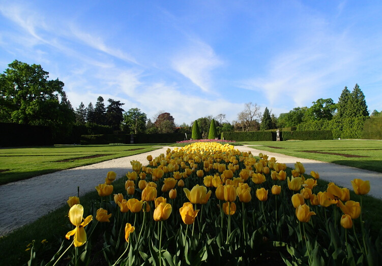 Park - Zámek Lednice